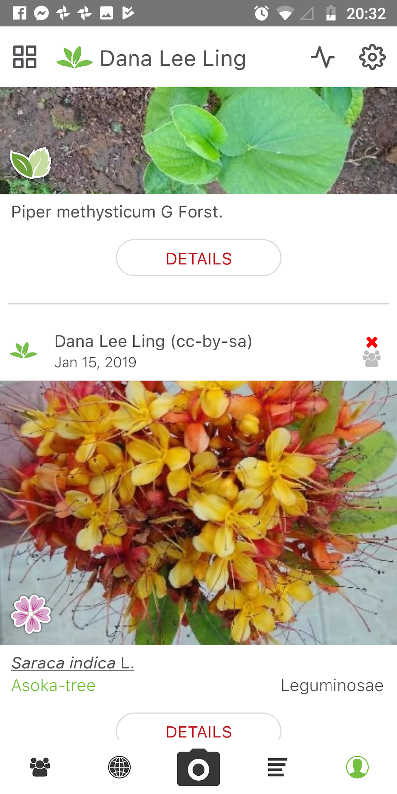 Experimenting with the PlantNet and iNaturalist apps