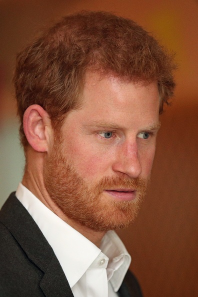 Royal Family Around the World: Prince Harry Visits Copenhagen - Day 1 ...