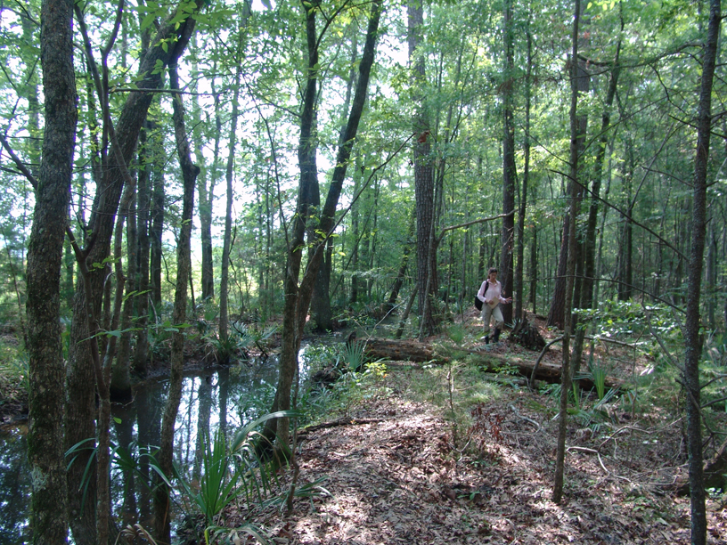 Audubon South Carolina: TogetherGreen at Ashley Ridge High School
