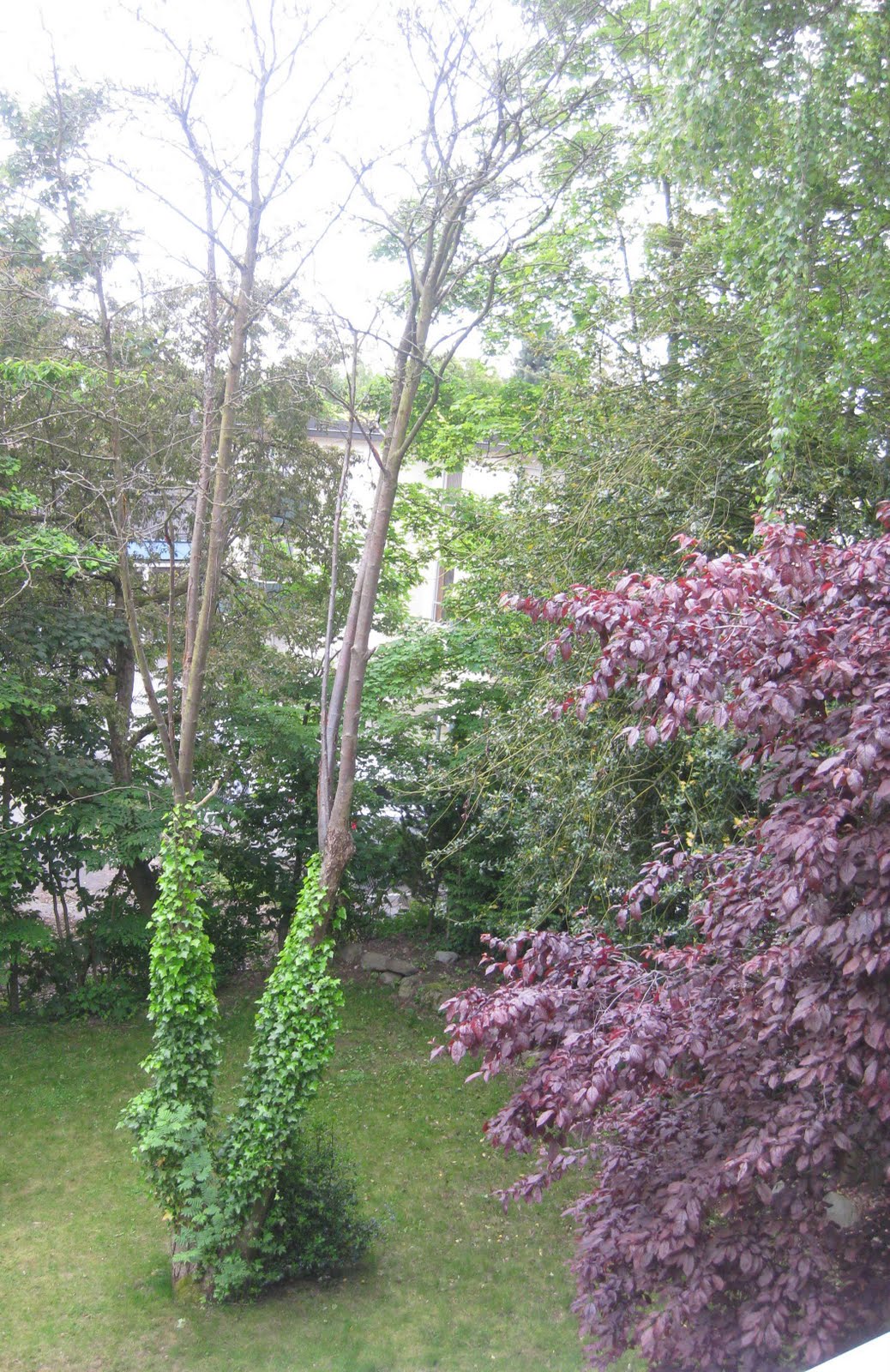 A Majority of Two: The Rowan Tree...