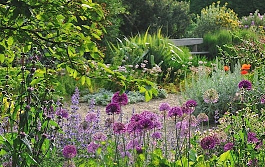 havedagbogen : ENGELSKE HAVER