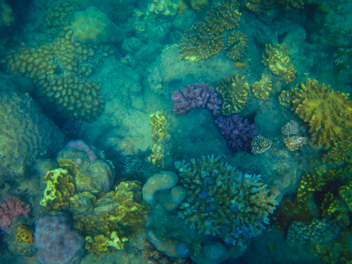 Pohjalla: Korallimeri ja Suuri Valliriutta