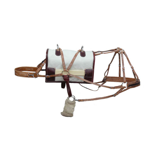 Delighted Horses: Horse Tack