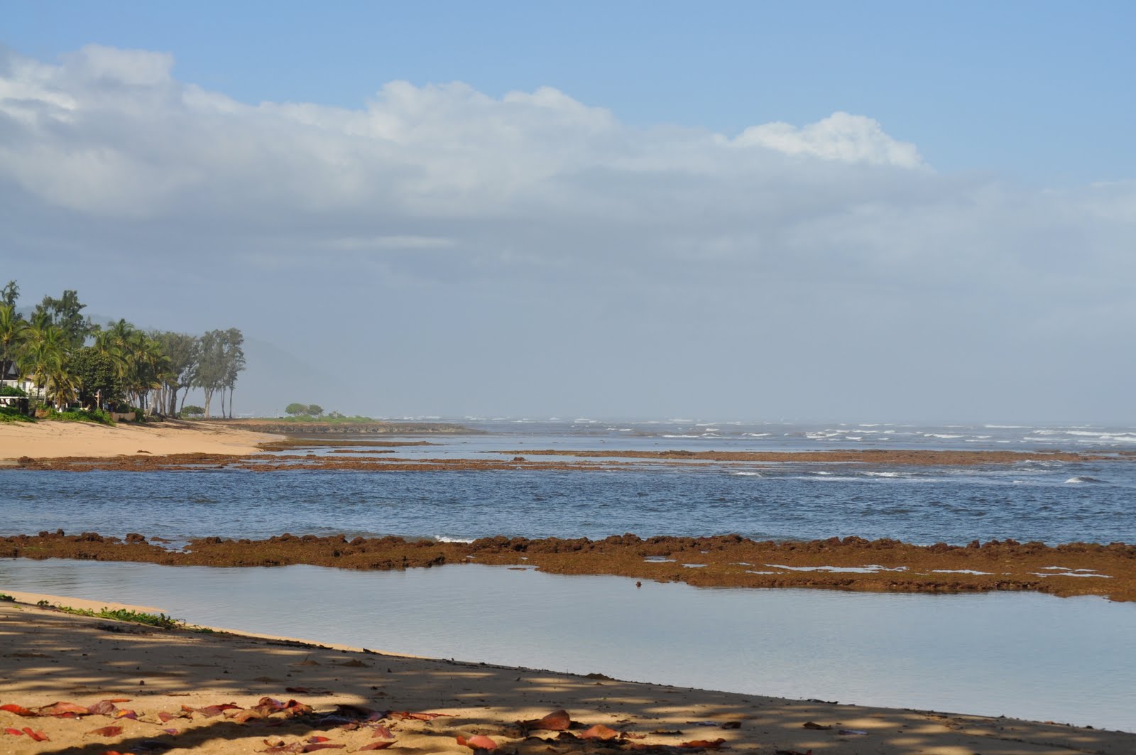 Haleiwa Surf Condos: 3-11-11 Tsunami