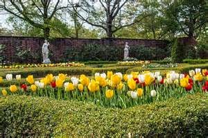 Gone Gardening: Tryon Palace Gardens