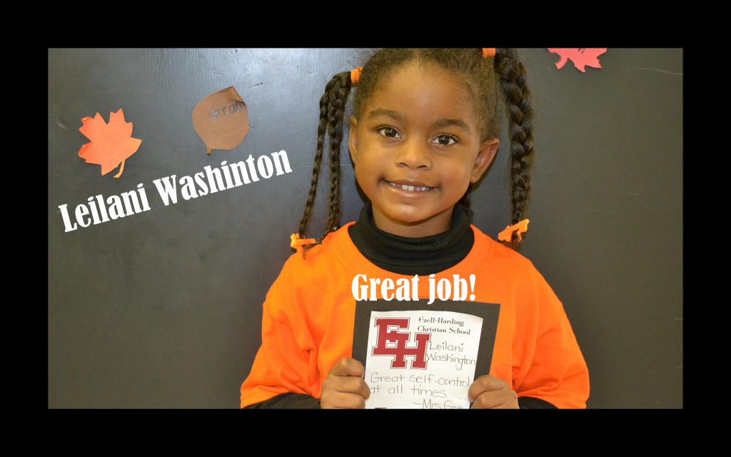 Notes from the Nest..: Terrific Tickets