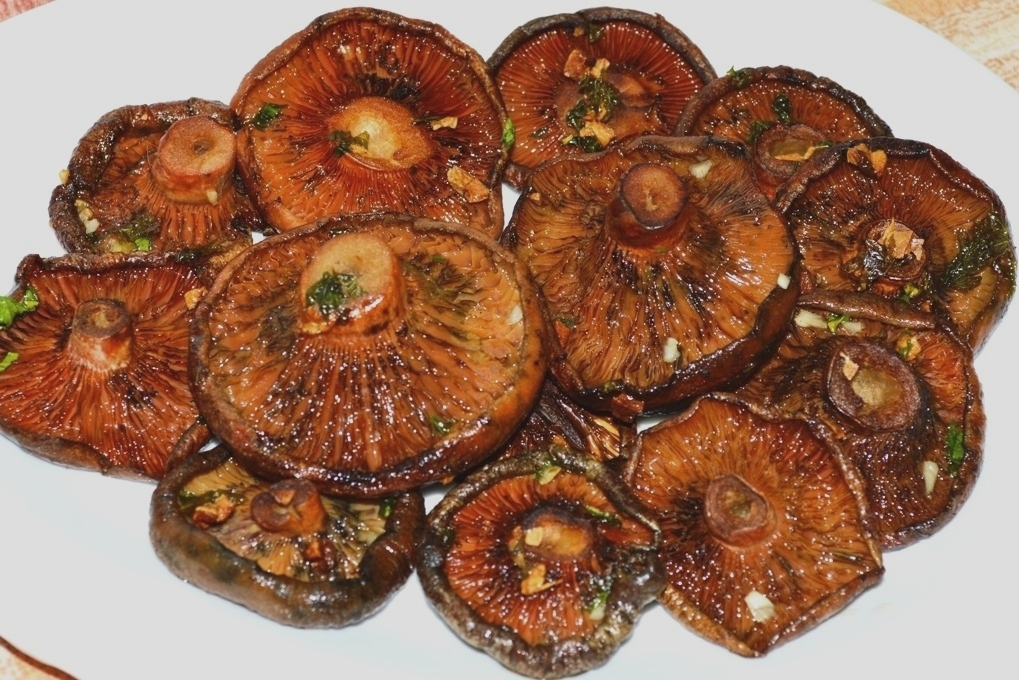 Anna, històries a la cuina: Rovellons amb all i julivert