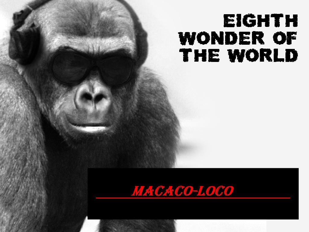 Macaco loco: Fotos!veja se puder.....