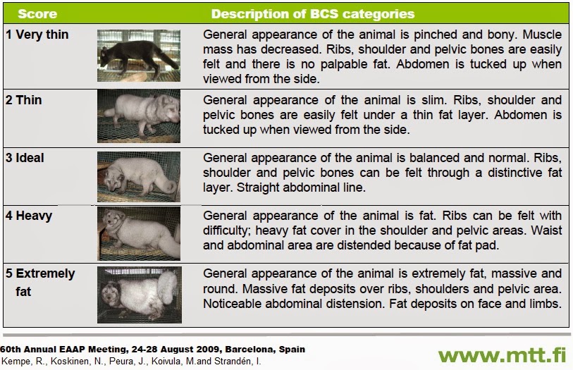 Animal science: December 2013