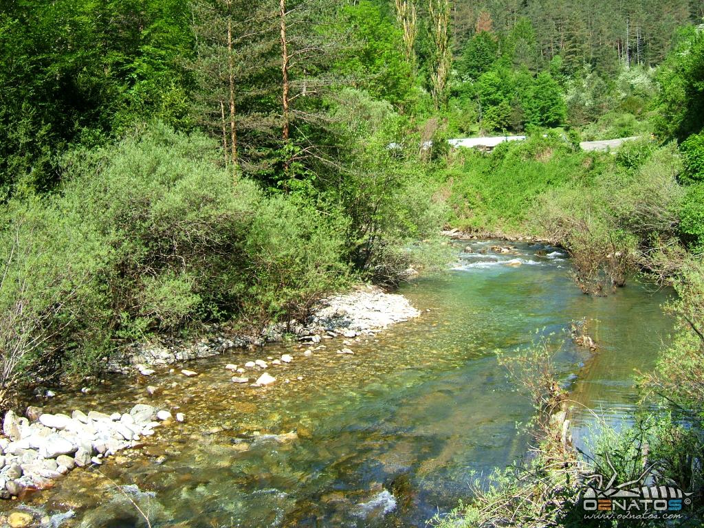 Valle de Ansó: Río Veral