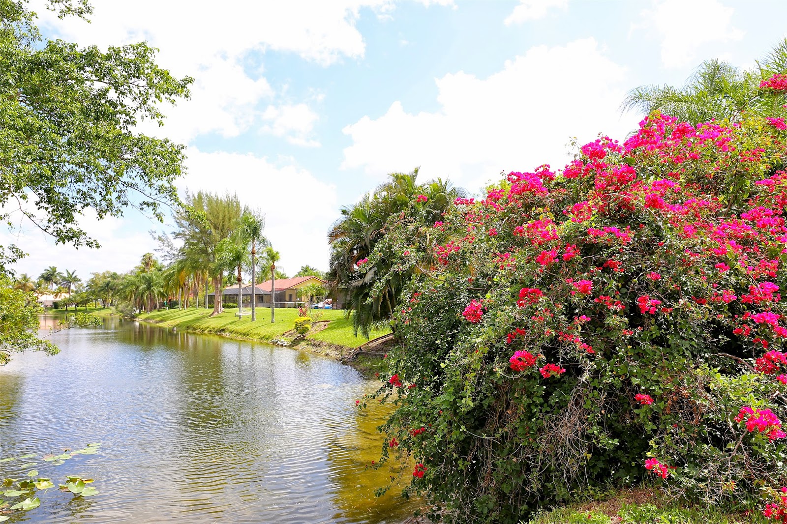 Sweet Southern Days: Tropical South Florida