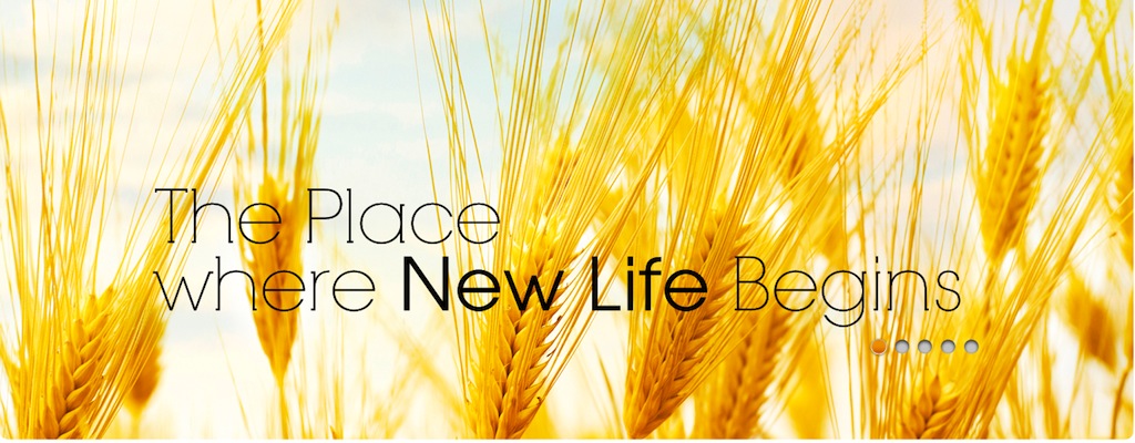 New Chapter in my life: Welcoming sentence