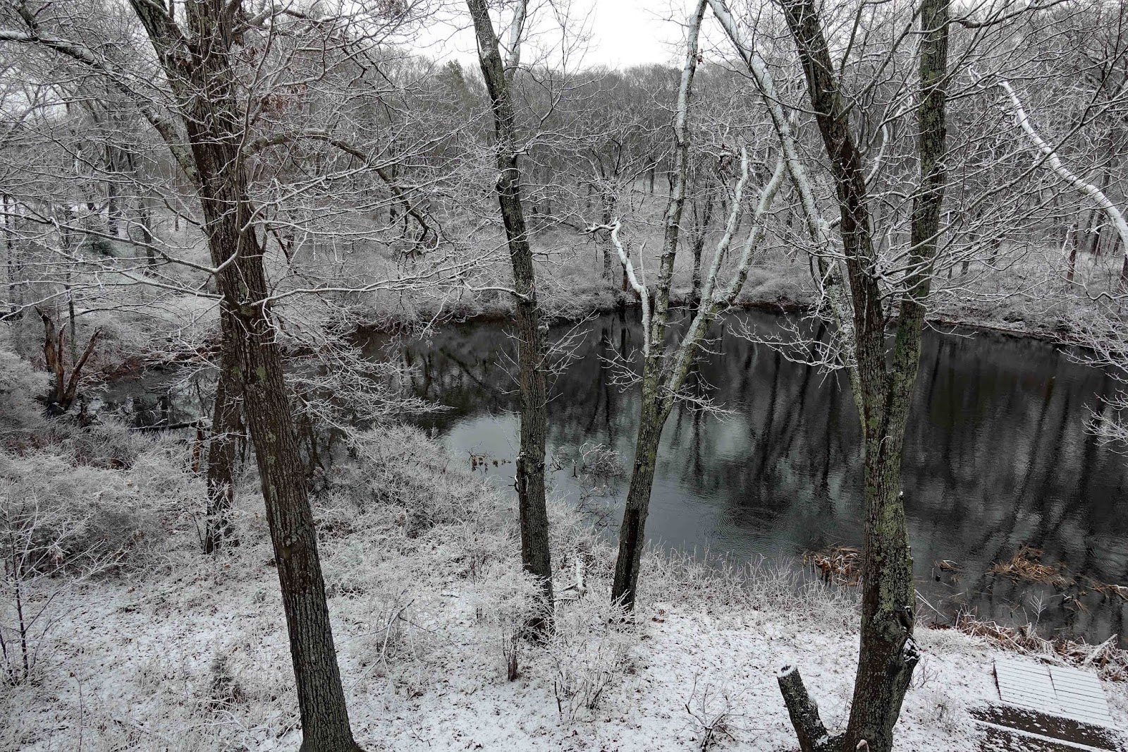 Joe's Retirement Blog: Spring at the Pond, Manomet, Plymouth ...