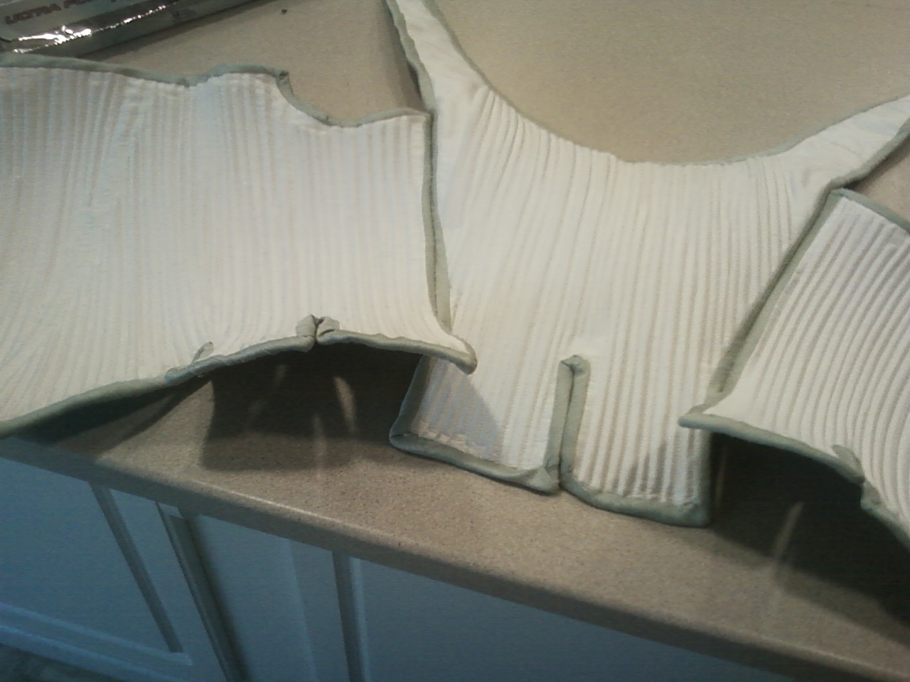 Effigy Corset with Reeds