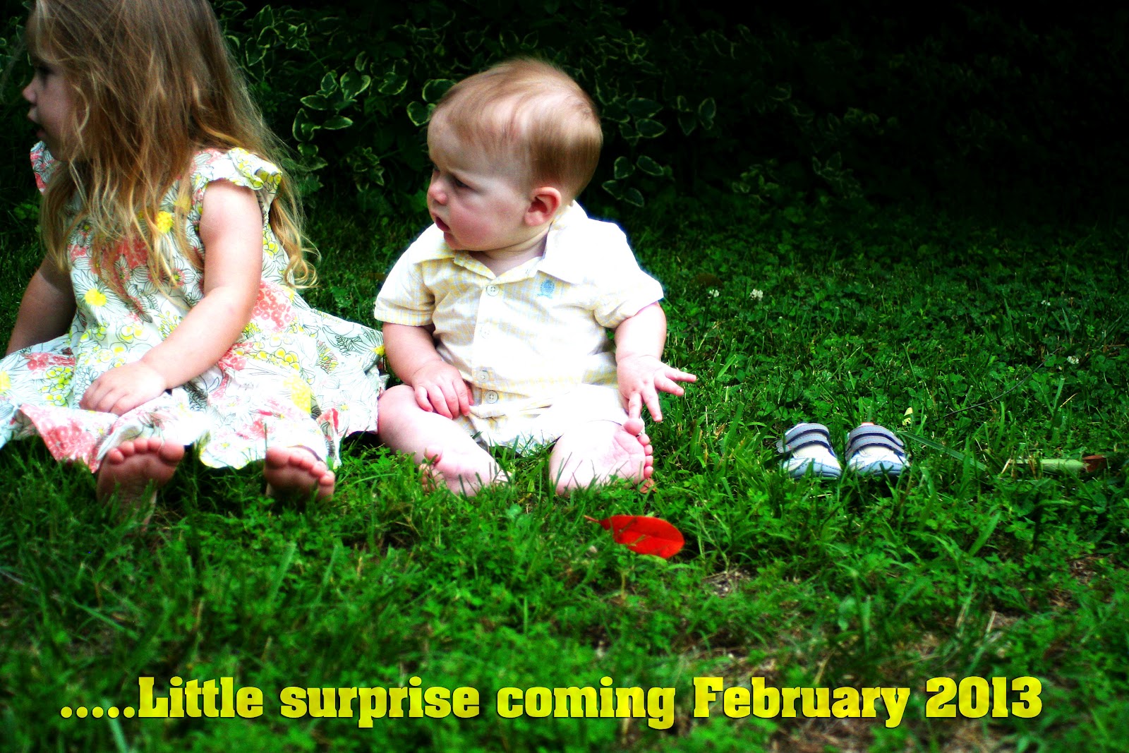 And then There were 5: The Great Surprise!