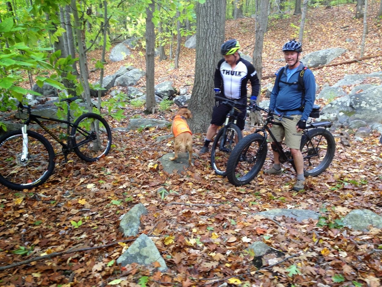 New England Mountain Bike Association, Central CT Chapter: Quillinan ...