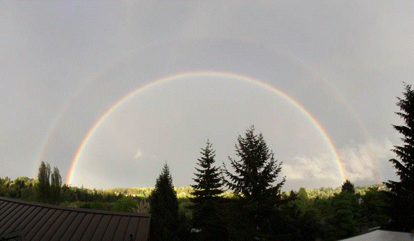 Cliff Mass Weather Blog: Why are there double rainbows?