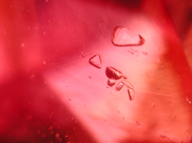 SDI: Where Creativity Meets Excellence.: RUBY - The Undisputed King of ...