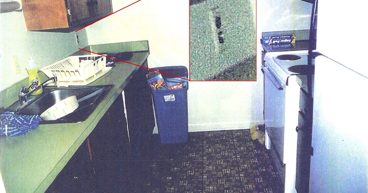 The Skeptical Juror: Michael Ledford's Petition for Absolute Pardon ...