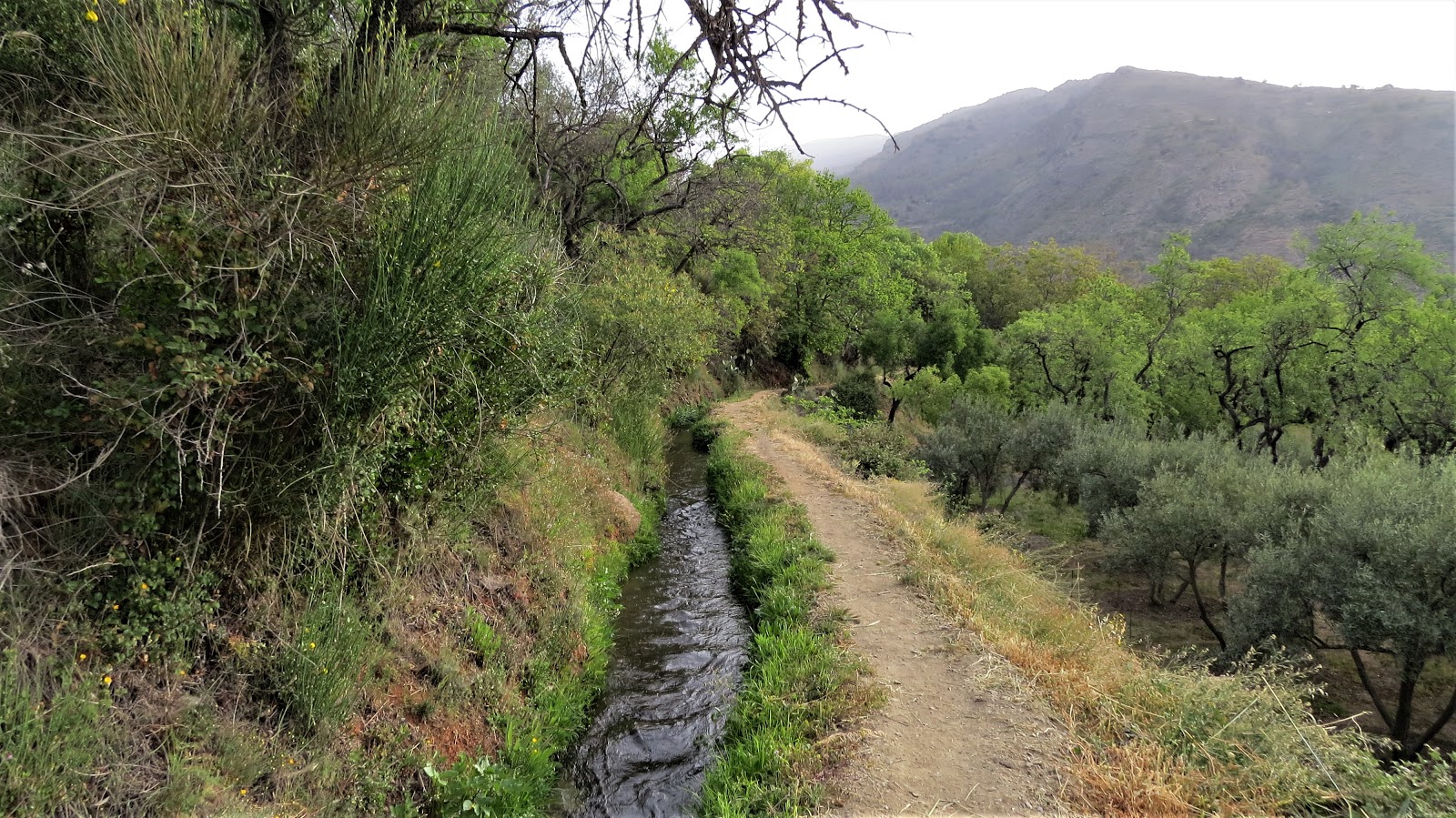 notas cordobesas: LAS ACEQUIAS DE LANJARÓN Y OTRAS CURIOSIDADES