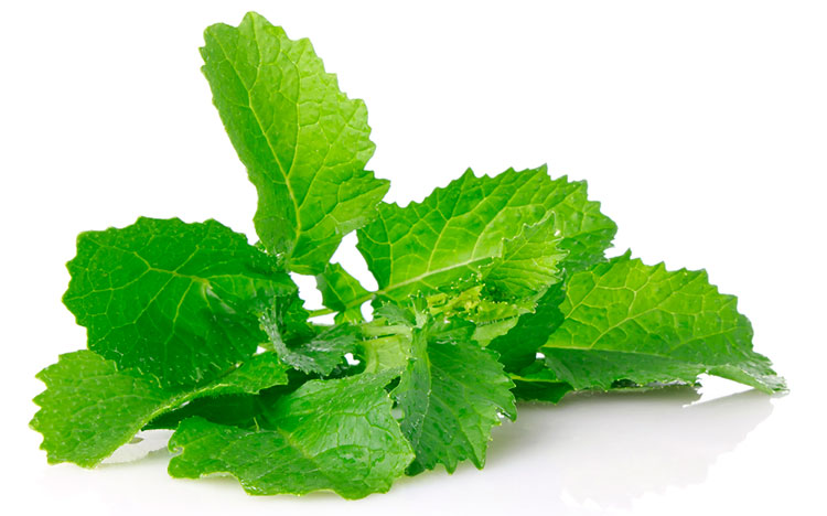 QUANDO FALA O CORAÇÃO: Benefícios da Mostarda