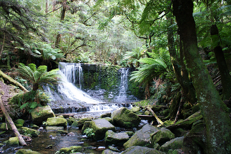 Nele & Andrew Around Oz: Land of the Giants Campground, Mount Field ...