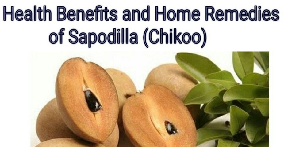 Health Benefits and Home Remedies of Sapodilla (Chikoo)