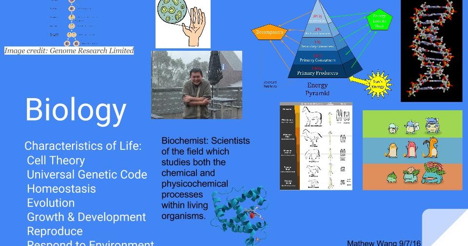 "What is Biology?" Collage