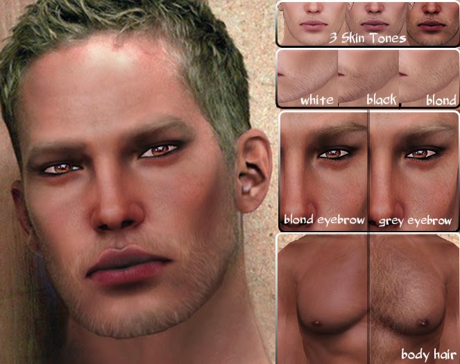 Samurai HQ SKIN (Second Life): 2013