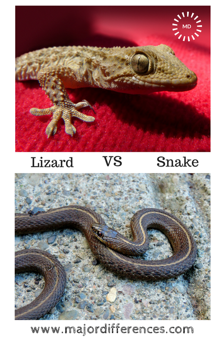 January 2018 | Major Differences