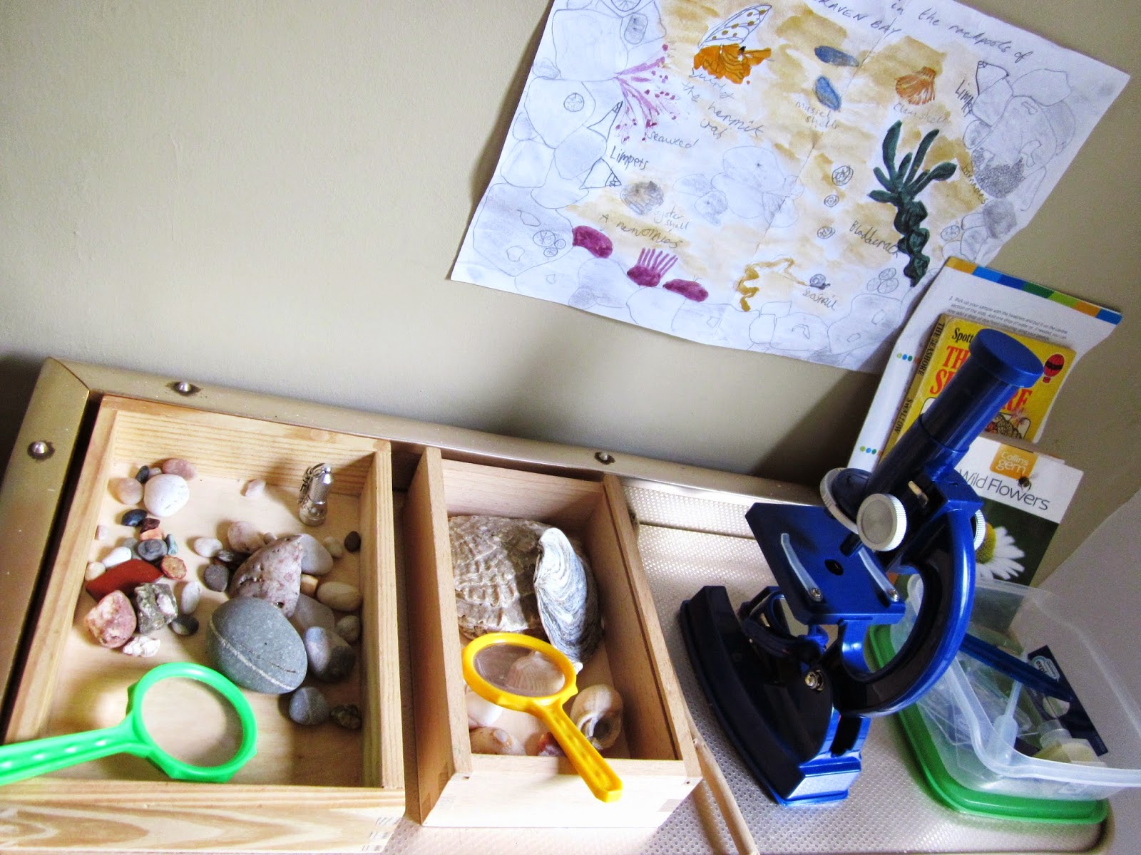 Adventures at Home: An investigation station