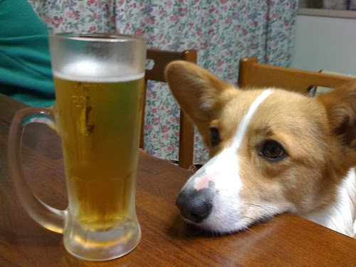 The Peerless Prognosticator: Cheerless Talks Fancystats