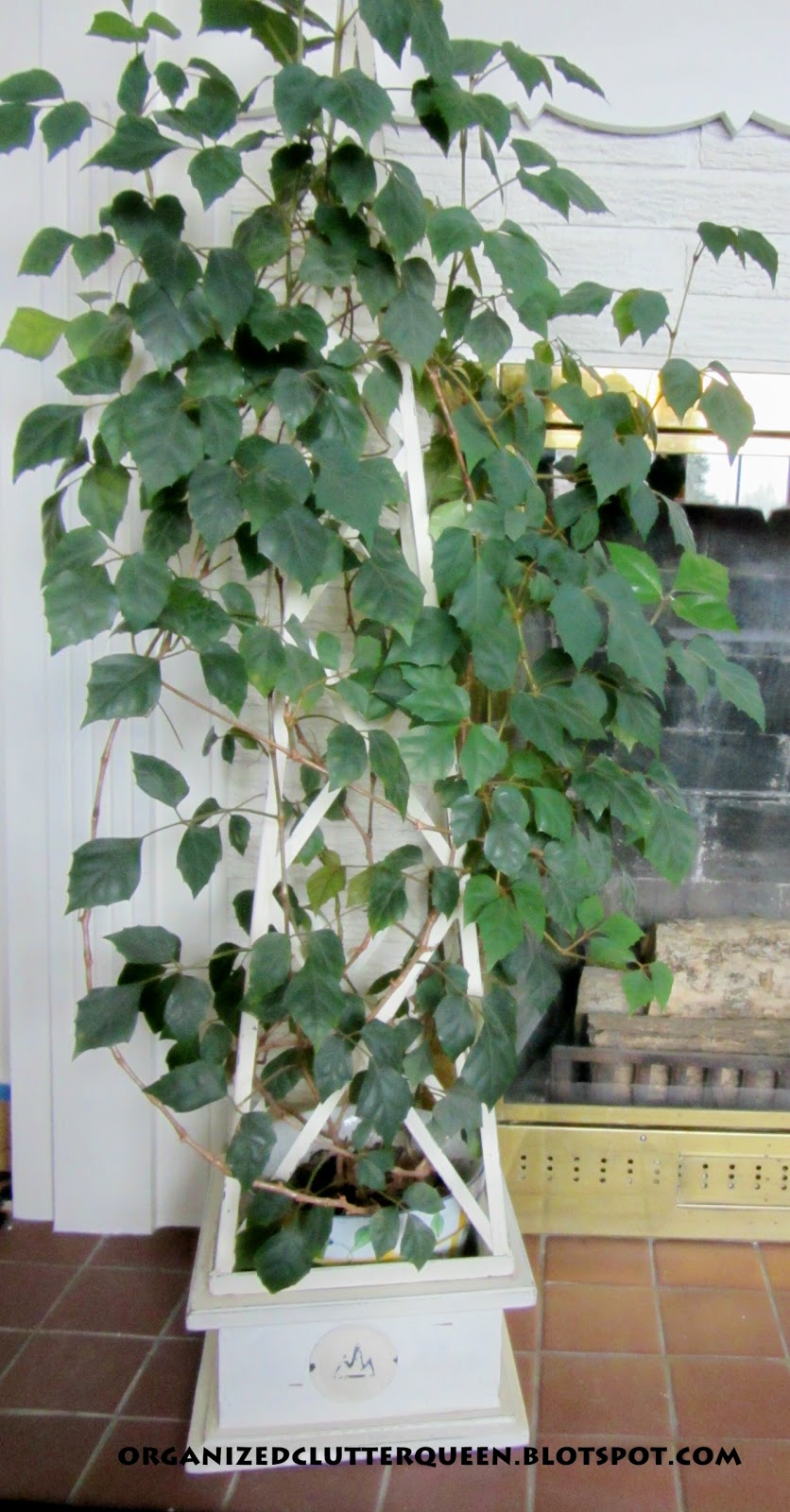 Houseplants Make a Home - Organized Clutter