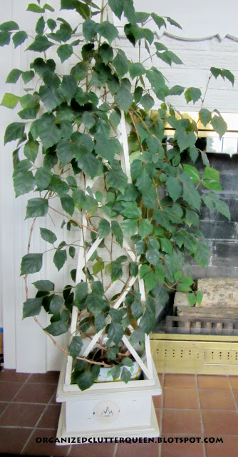 Houseplants Make a Home - Organized Clutter