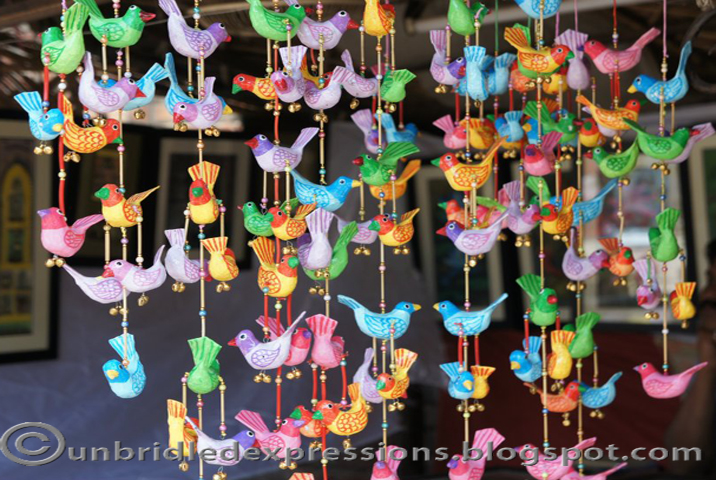 UNBRIDLED EXPRESSIONS: Vibrant India- Hanging birds