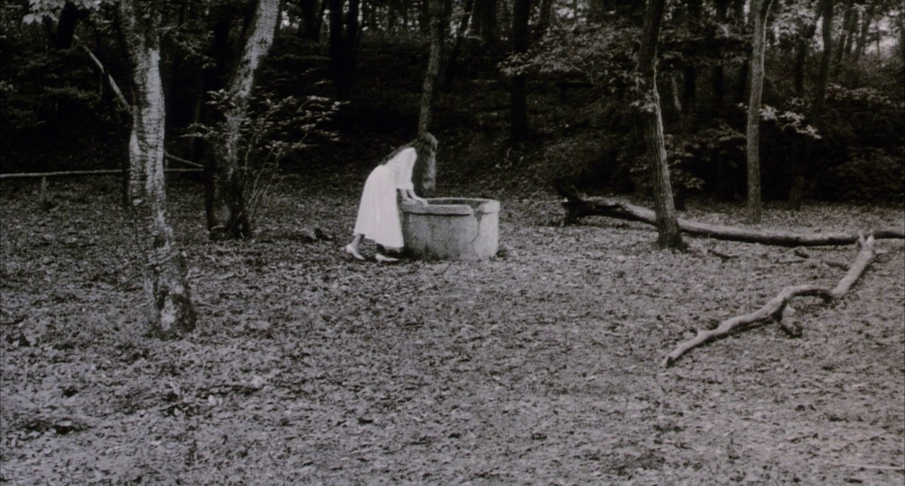 Pearce's Horror Movie Reviews: Ring (1998)