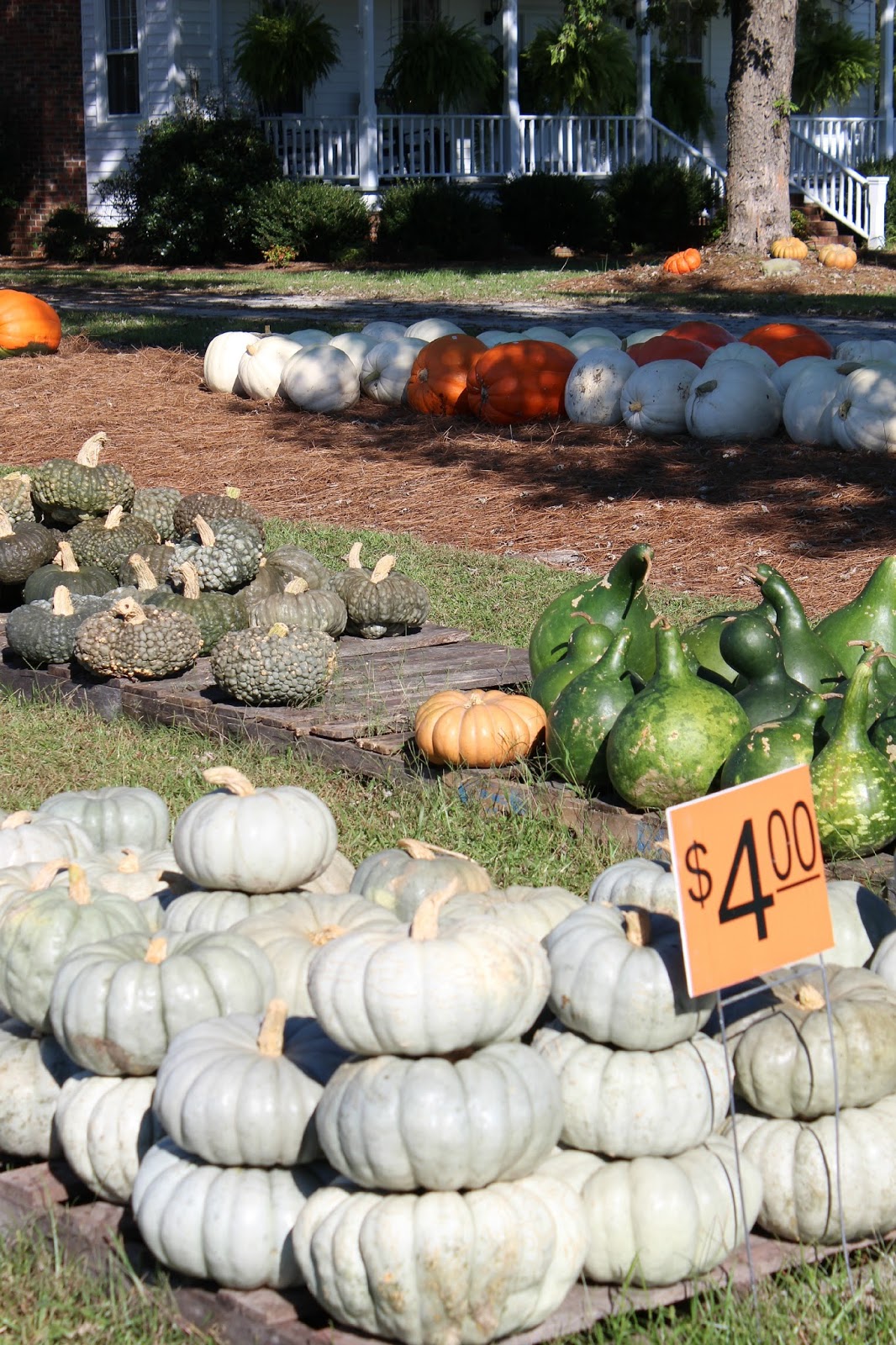 Ramblings of a Southern Girl: Painted Pumpkin Pallet & A Pumpkin Patch ...