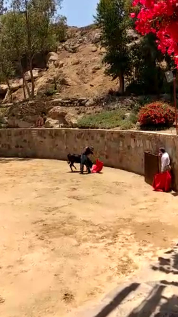 TORERIAS DE CHELIN: CHIBOLO DE LIMA TENTANDO CON LOPEZ SIMON Y JOAQUIN ...