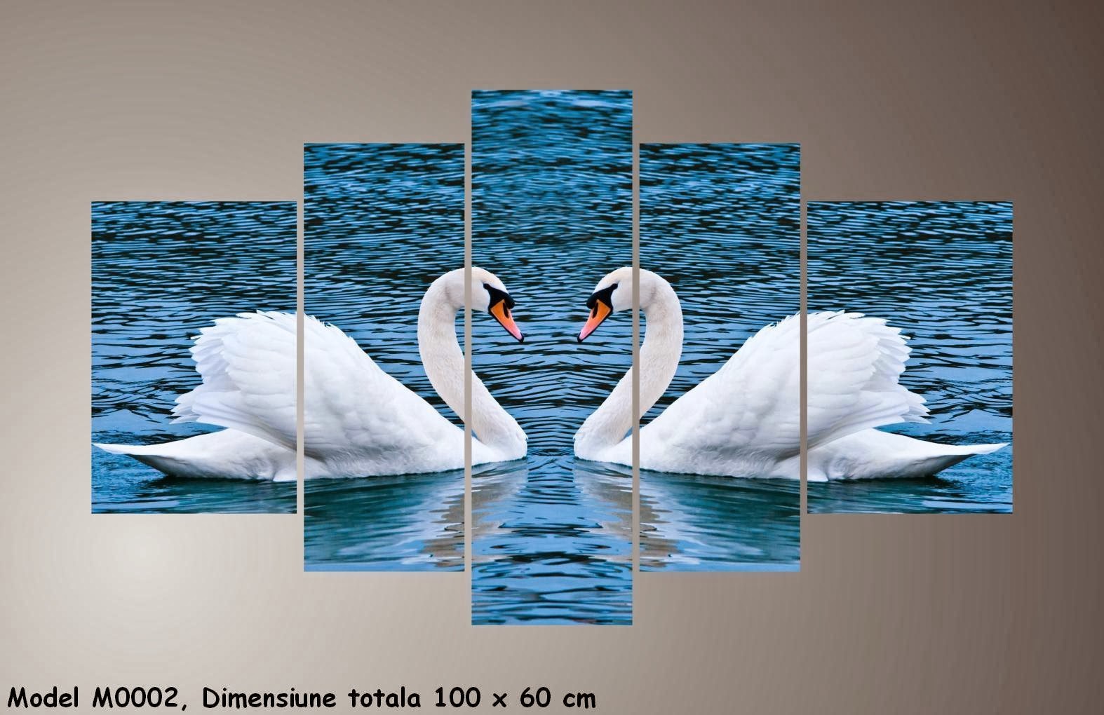 Tablouri Moderne Timisoara