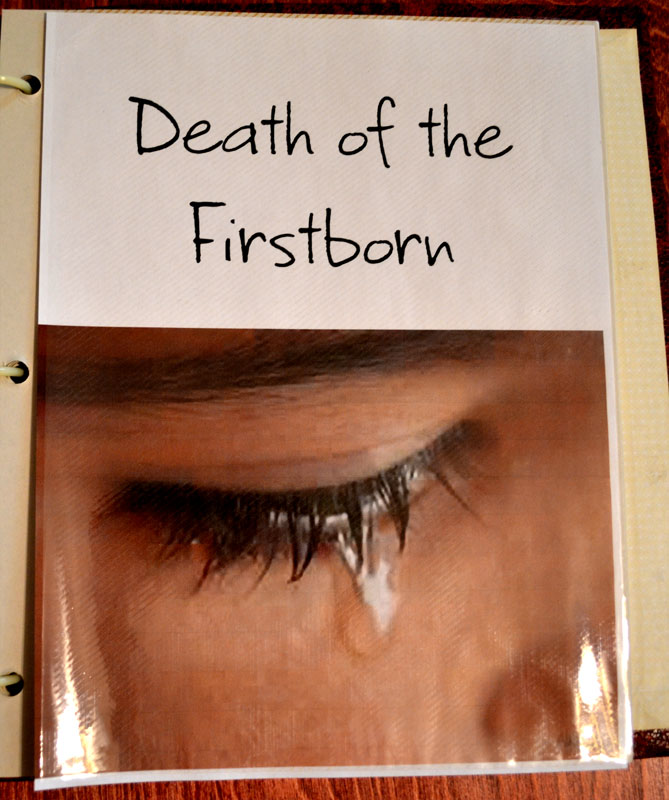 Bible Class Creations: Ten Plagues Photo Album