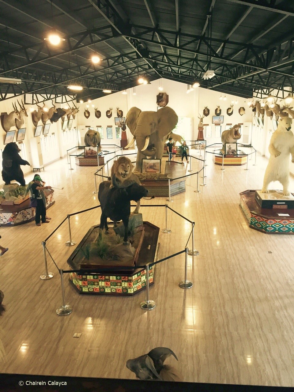 From My Beautiful Mind: Ilocandia Tour: Baluarte ni Chavit Singson