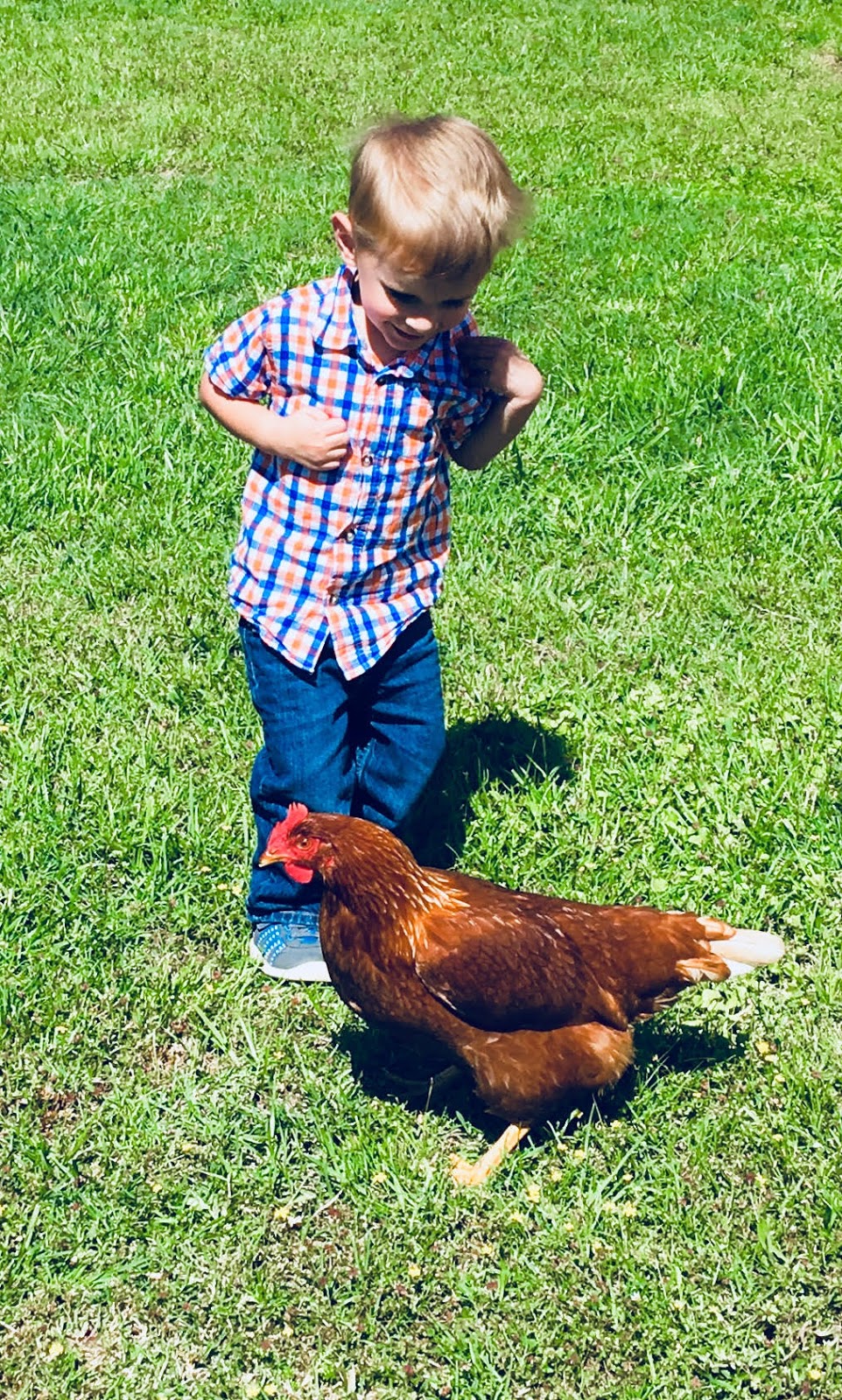 Faith, Farm and Food