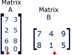 2011 Advanced Math 5th Hour: Matrix Multiplication!