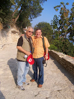 Horia Gârbea: Afinitățile elective