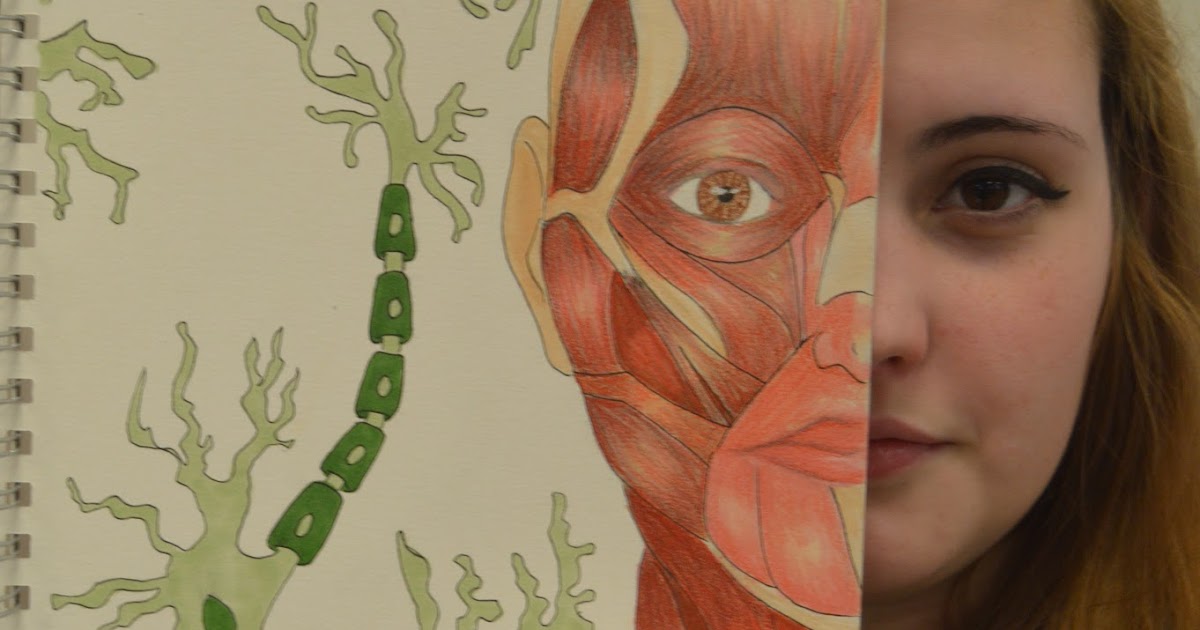 The Art Room: Drawing 2 Class Stronger than EVER!