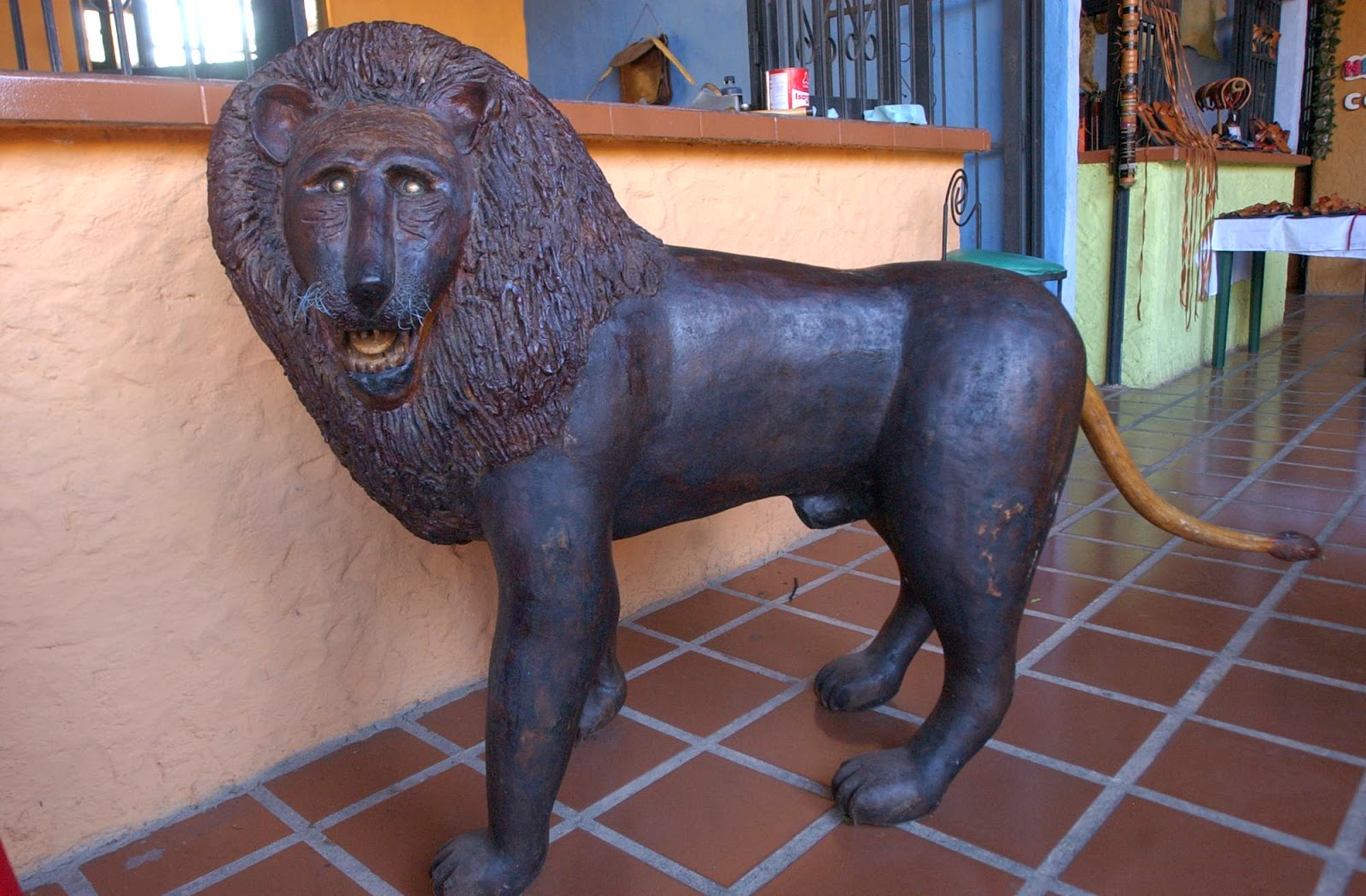 Bejuma al día...: VISTA DEL OCCIDENTE DE CARABOBO