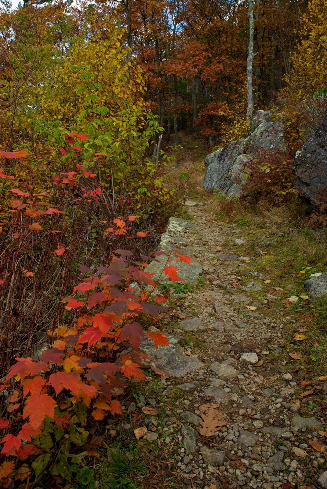 Kevin DuBois Travel and Photography: AT Hike: Rock Spring Hut to ...