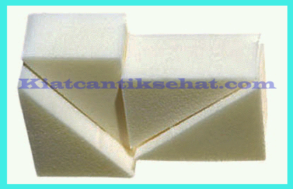 Jenis - Jenis Spons Dan Fungsinya ~ Info seputar cantik sehat luar dan ...