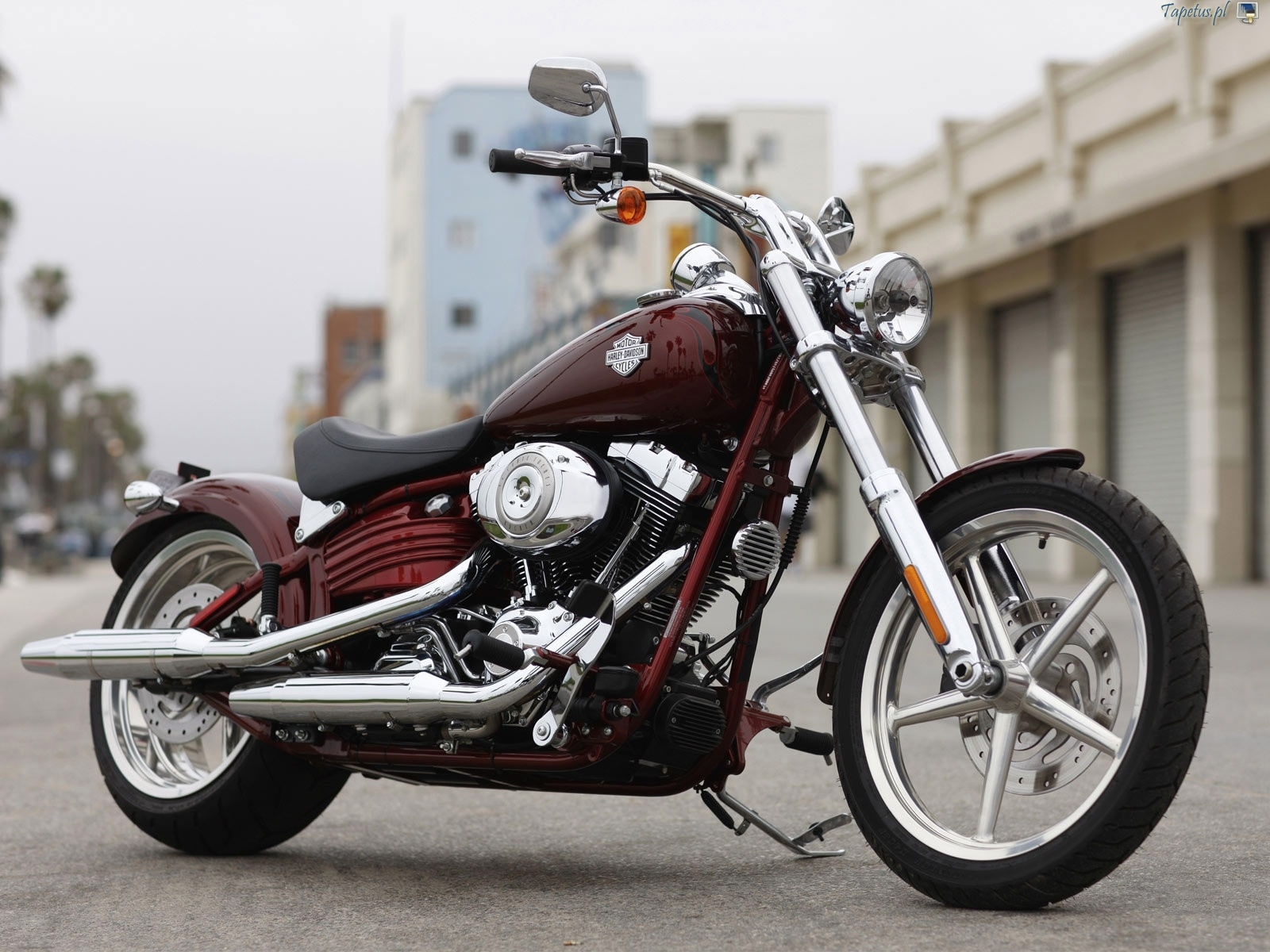 DarkOman shit: Harley-Davidson Softail Rocker C (Photo HD)