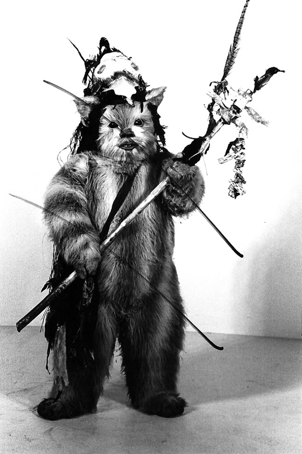 STAR WARS AFICIONADO WEBSITE: CLASSIC IMAGE: AN EWOK OF STATUS AND ...